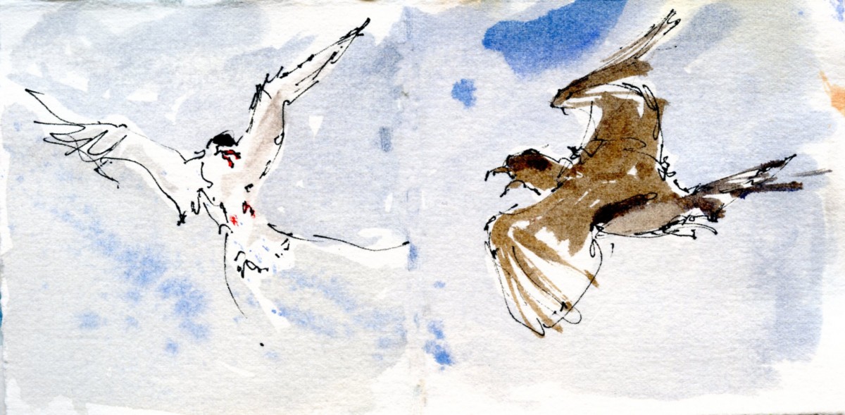 Inge Thomson’s Da Fishing Hands in Celtic Connections | Sea Change ...